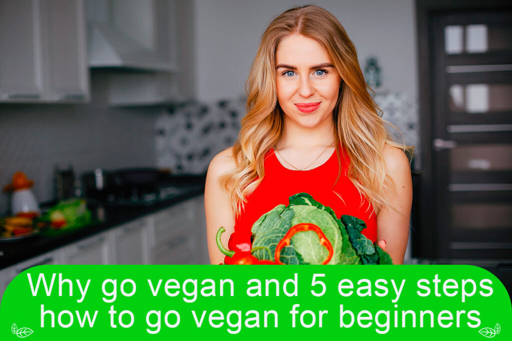 How To Go Vegan: A Beginner’S Guide For An Easy Transition – HOTZYZ